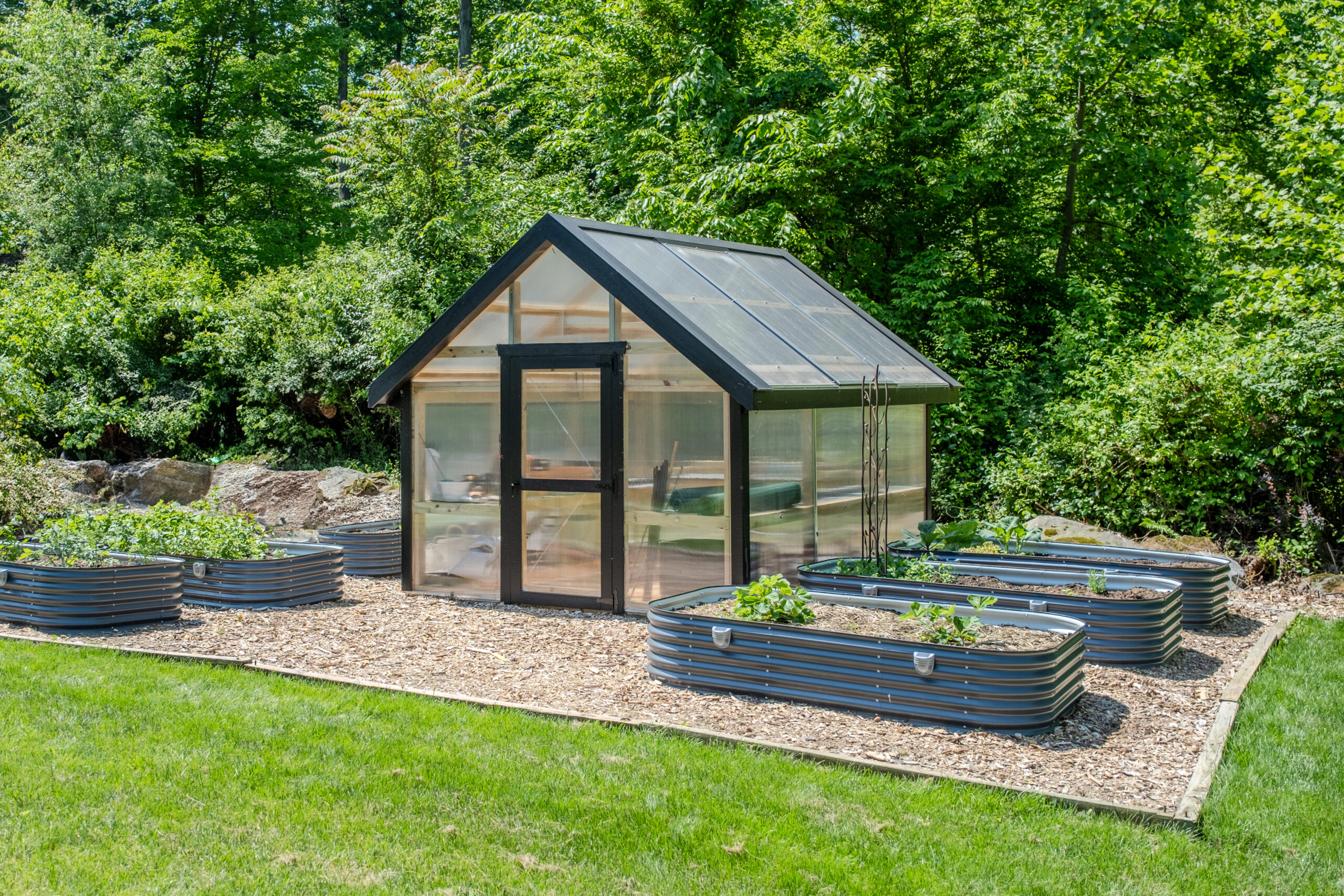 Bringing Learning to Life: Why Your School Needs a Greenhouse | Lapp Structures