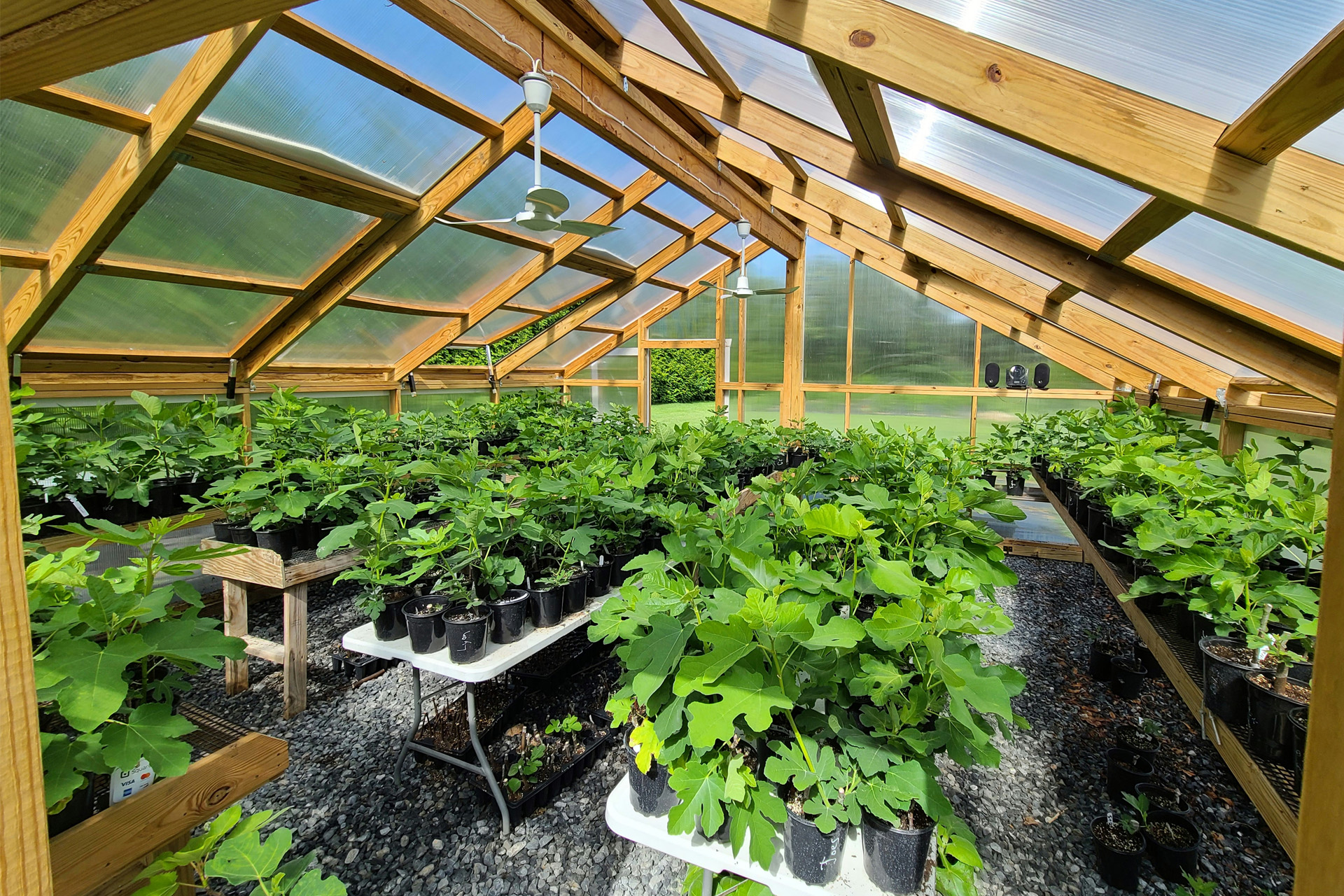 5912 | Lapp Structures